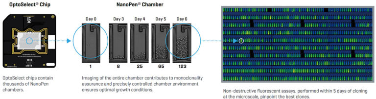 Beacon Select™ Optofluidic System - Bruker Cellular Analysis