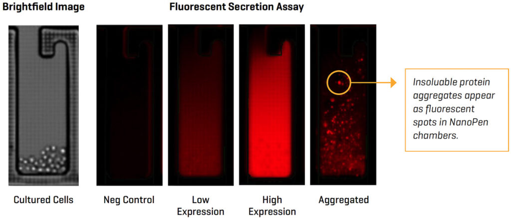 Beacon Select™ Optofluidic System - Bruker Cellular Analysis