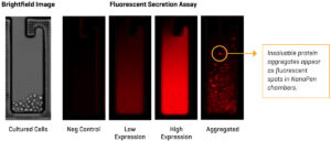 Beacon Select™ Optofluidic System - Bruker Cellular Analysis