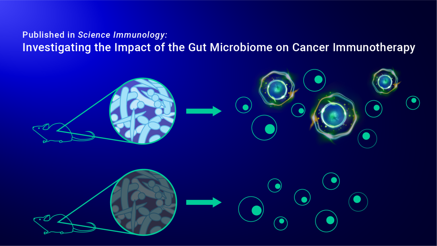 Published in Science Immunology: Investigating the Impact of the Gut Microbiome on Cancer ...