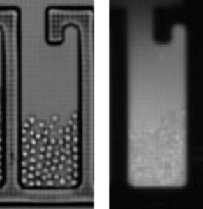 Beacon Select™ Optofluidic System - Bruker Cellular Analysis