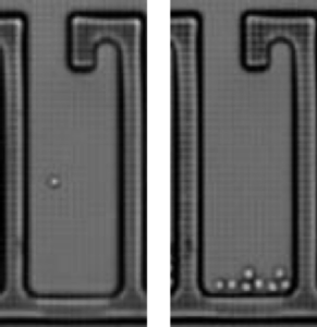 Beacon Select™ Optofluidic System - Bruker Cellular Analysis