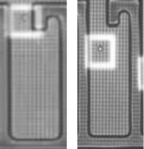 The Beacon® Optofluidic System - Bruker Cellular Analysis