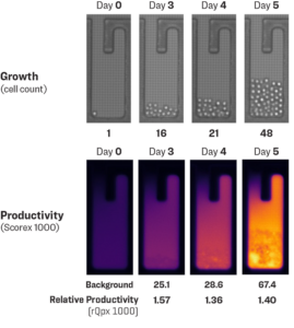 Beacon Select™ Optofluidic System - Bruker Cellular Analysis