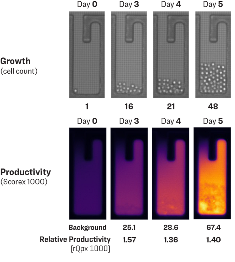 Beacon Select™ Optofluidic System - Bruker Cellular Analysis