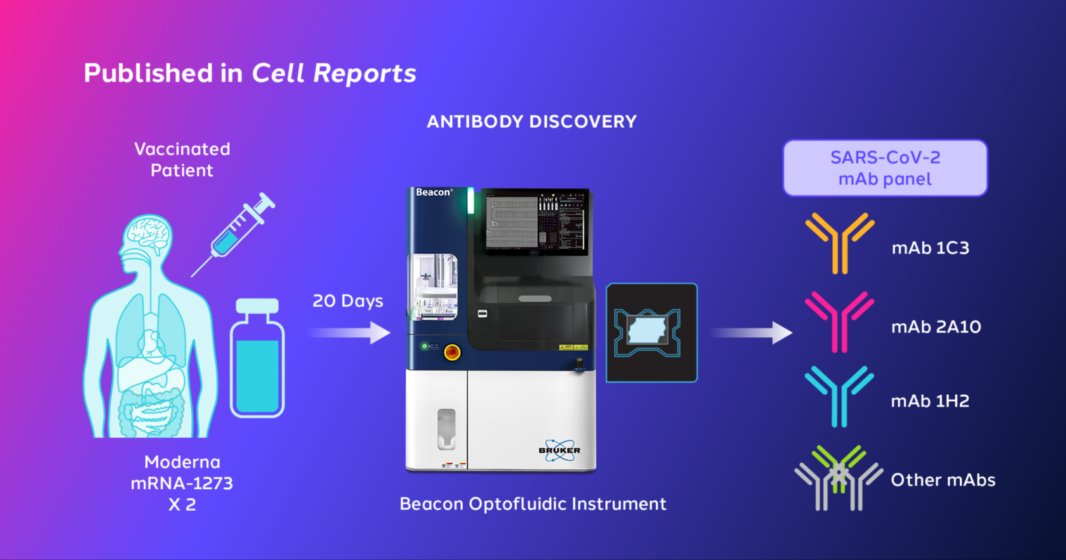 Published in Cell Reports: How Bruker Cellular Analysis' Beacon ...