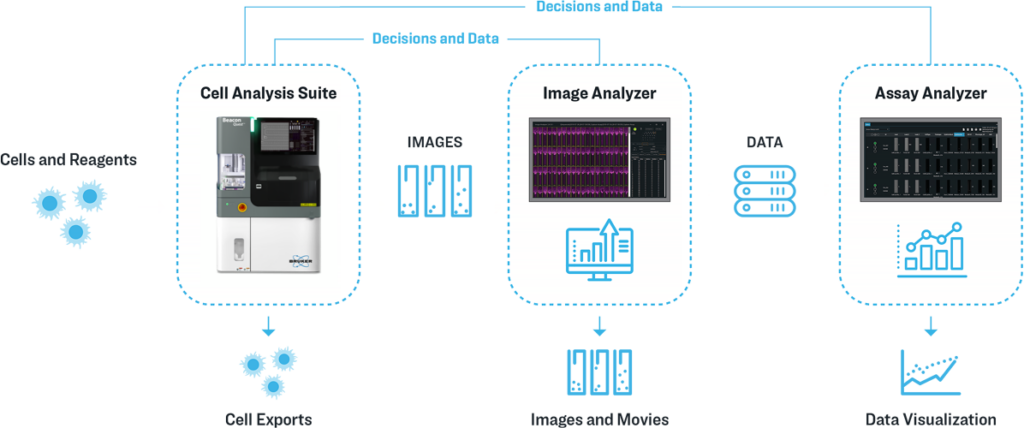 Beacon Select™ Optofluidic System - Bruker Cellular Analysis