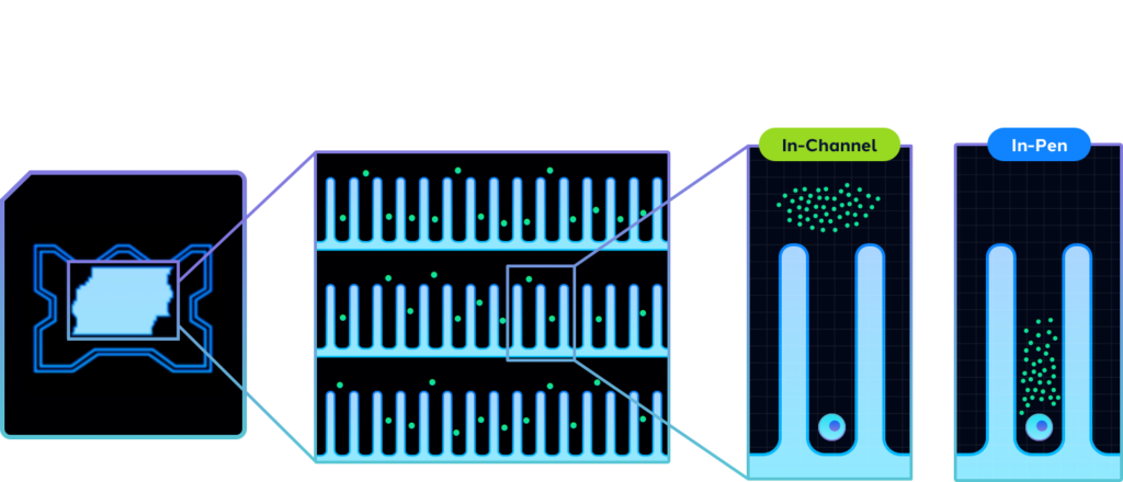 Antibody Discovery Kit - Bruker Cellular Analysis