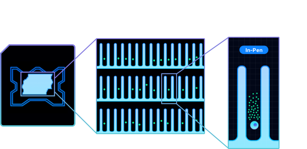T Cell Profiling Kit - Bruker Cellular Analysis