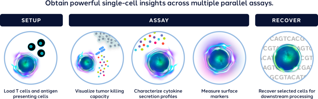 T Cell Profiling - Bruker Cellular Analysis