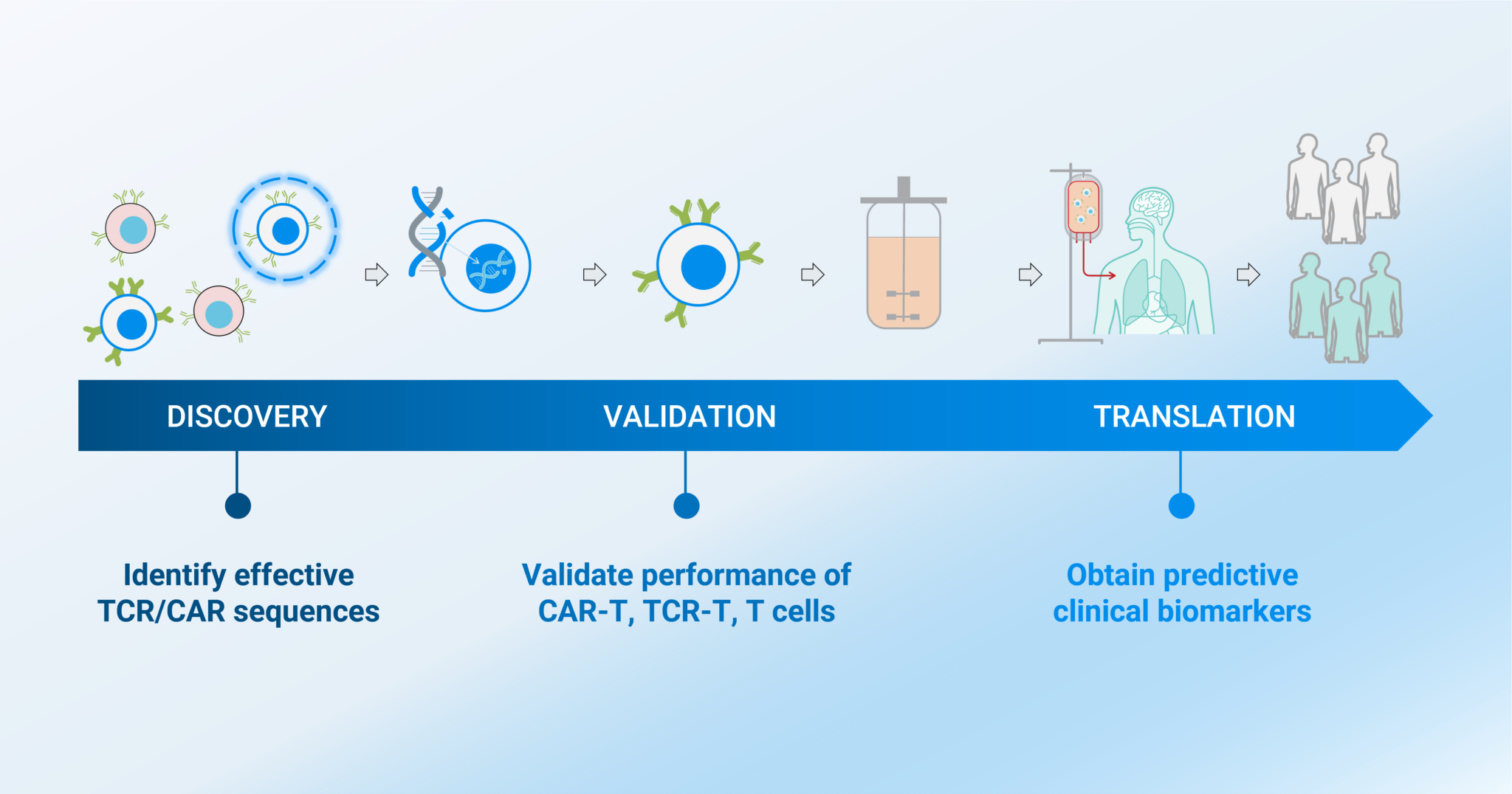 Application Note: Revolutionizing Adoptive Cell Therapy Development with Bruker’s Beacon ...