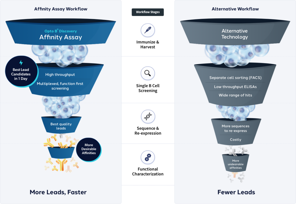 Opto® B Discovery Affinity Assay - Bruker Cellular Analysis