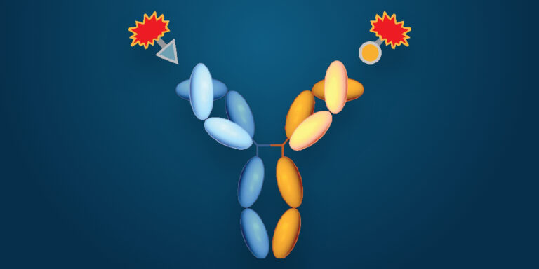 Revolutionizing Bispecific Antibody Production Using the Beacon ...