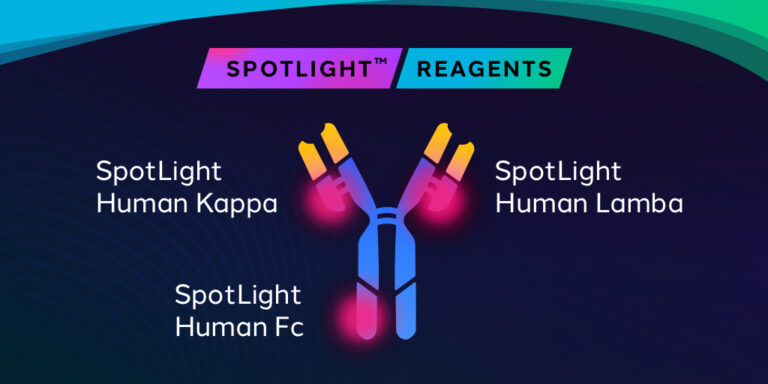 Accelerating the Cell Line Development Timeline: How to Deliver Lead ...