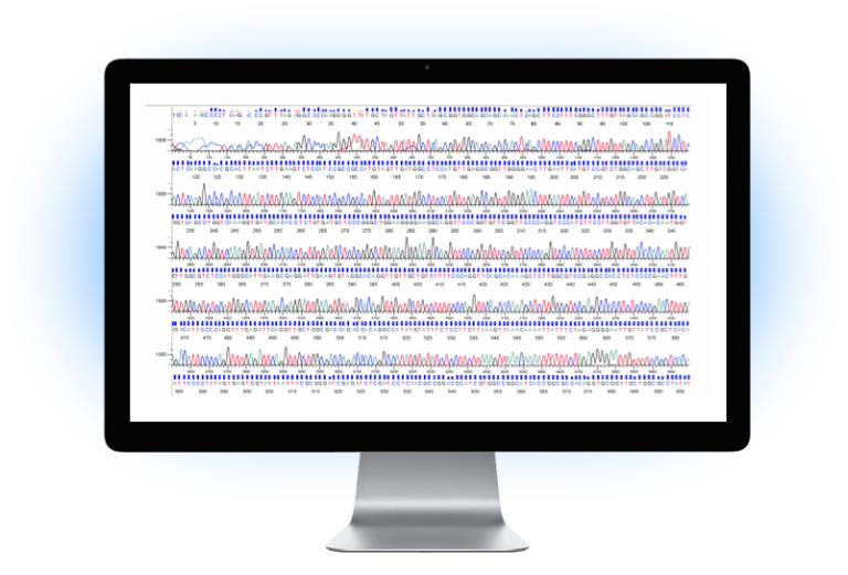 T Cell Profiling - Bruker Cellular Analysis