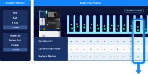 T Cell Profiling - Bruker Cellular Analysis