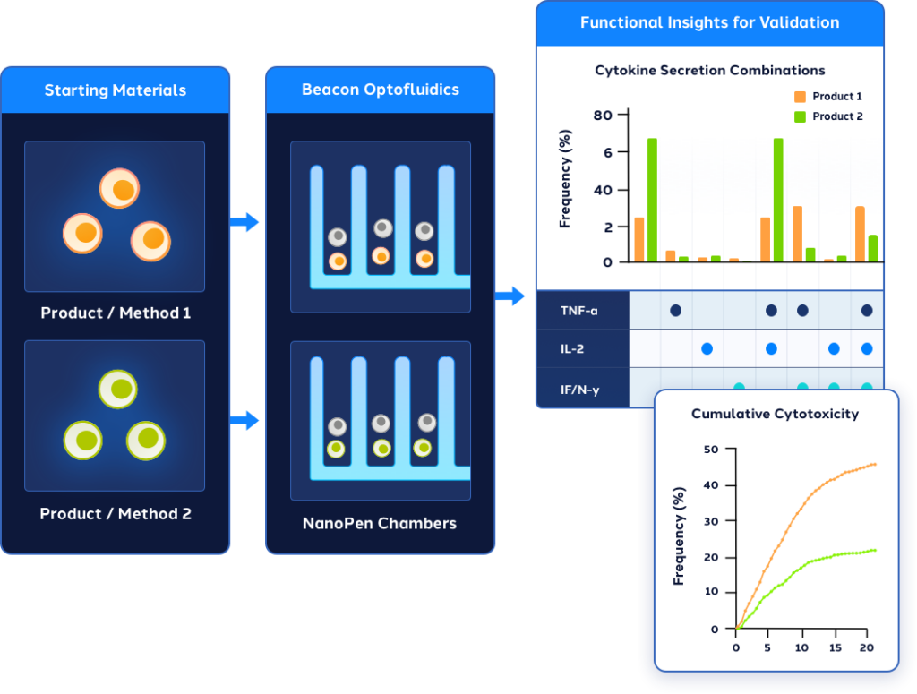 T Cell Profiling - Bruker Cellular Analysis